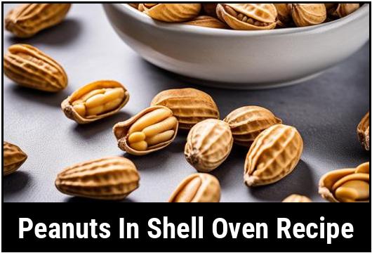 The Perfect Peanuts In Shell Oven Recipe